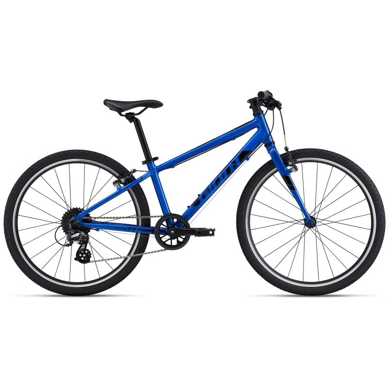Giant 24 mountain bike store