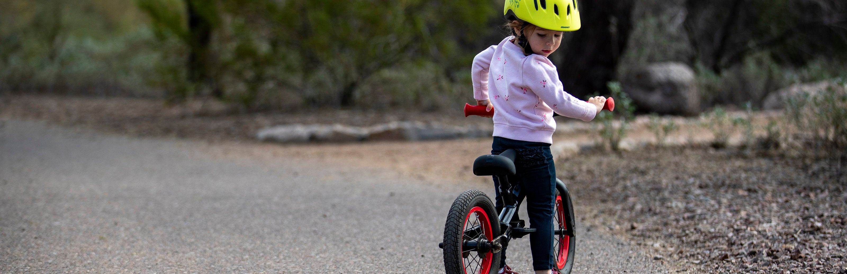 Push Bikes – Giant Brisbane