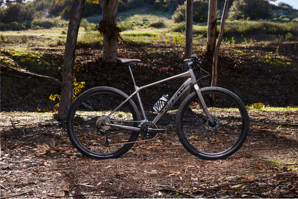 City & Hybrid Bikes – Giant Brisbane